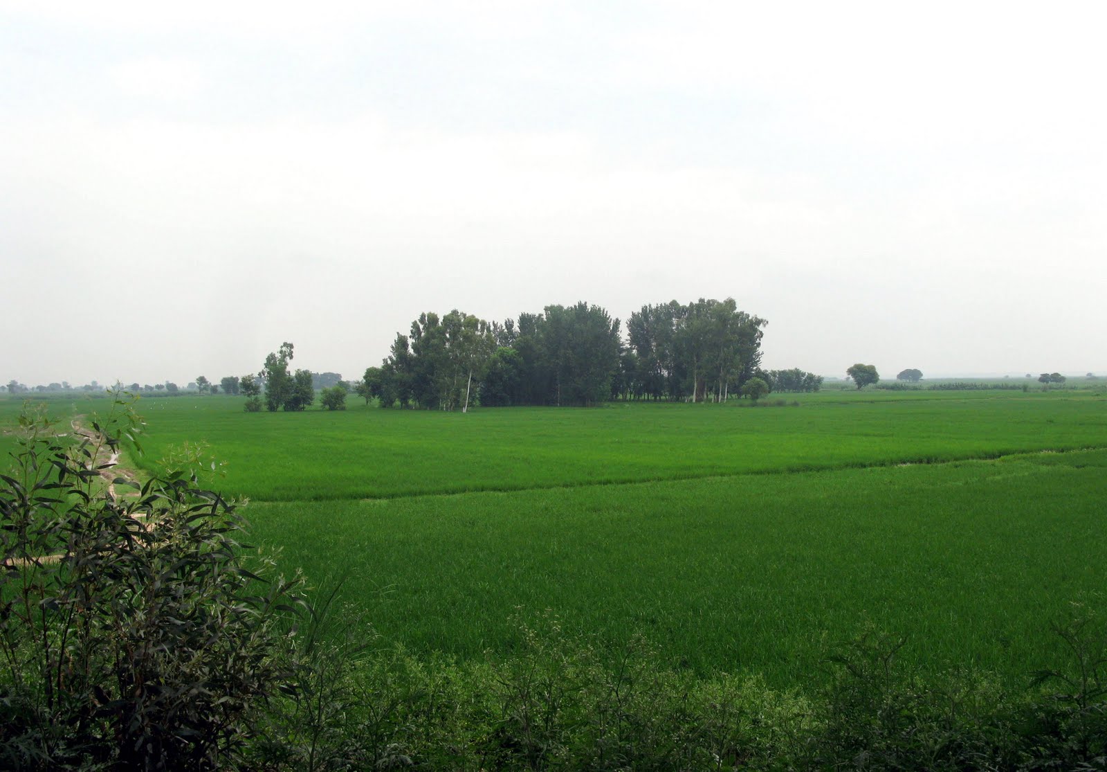 SULEHRI`S SECRETARIAT: SHAKARGARH,NAROWAL,PUNJAB,PAKISTAN