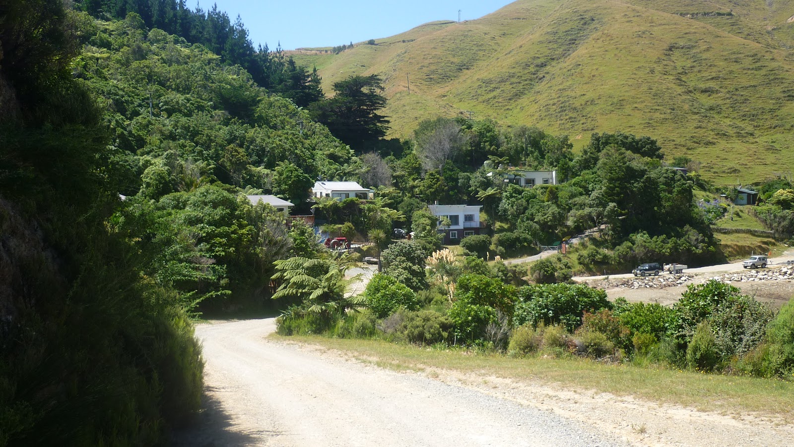 New-Zealand Adventure: Tondre des lamas à Cissy bay