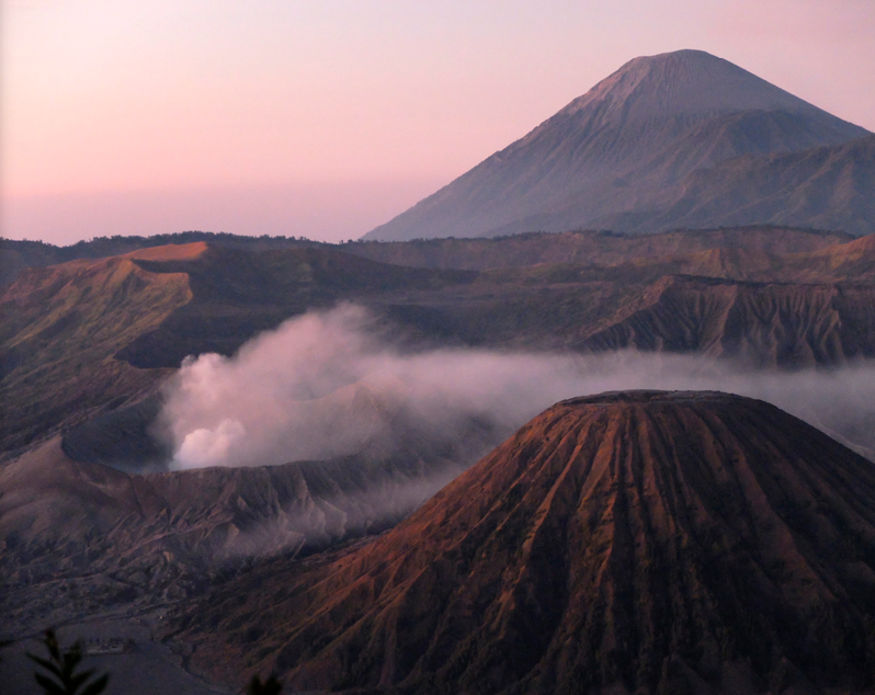 The morning glory is greener: East Java