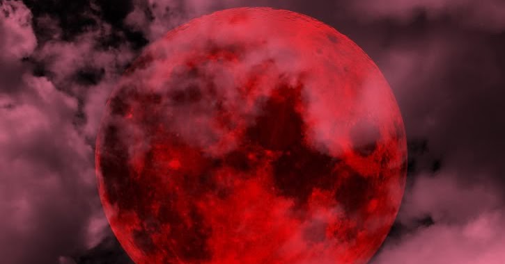 "Royal Republic of Sydneyland": "The First Sign"