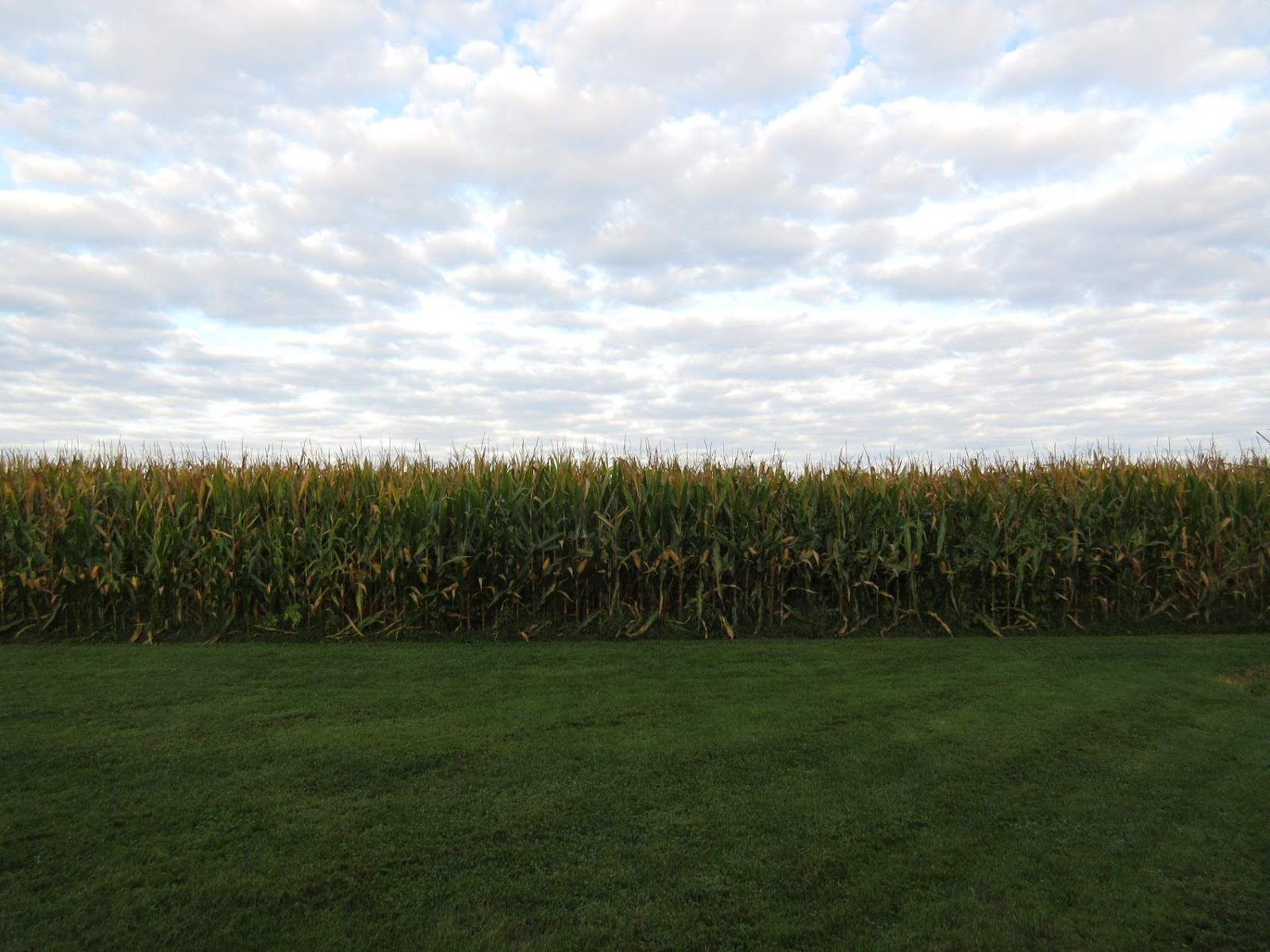 Three Things Very Dull Indeed