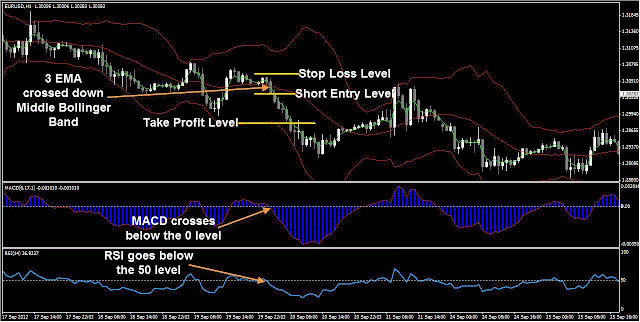 Trade Pro Fx Strategy