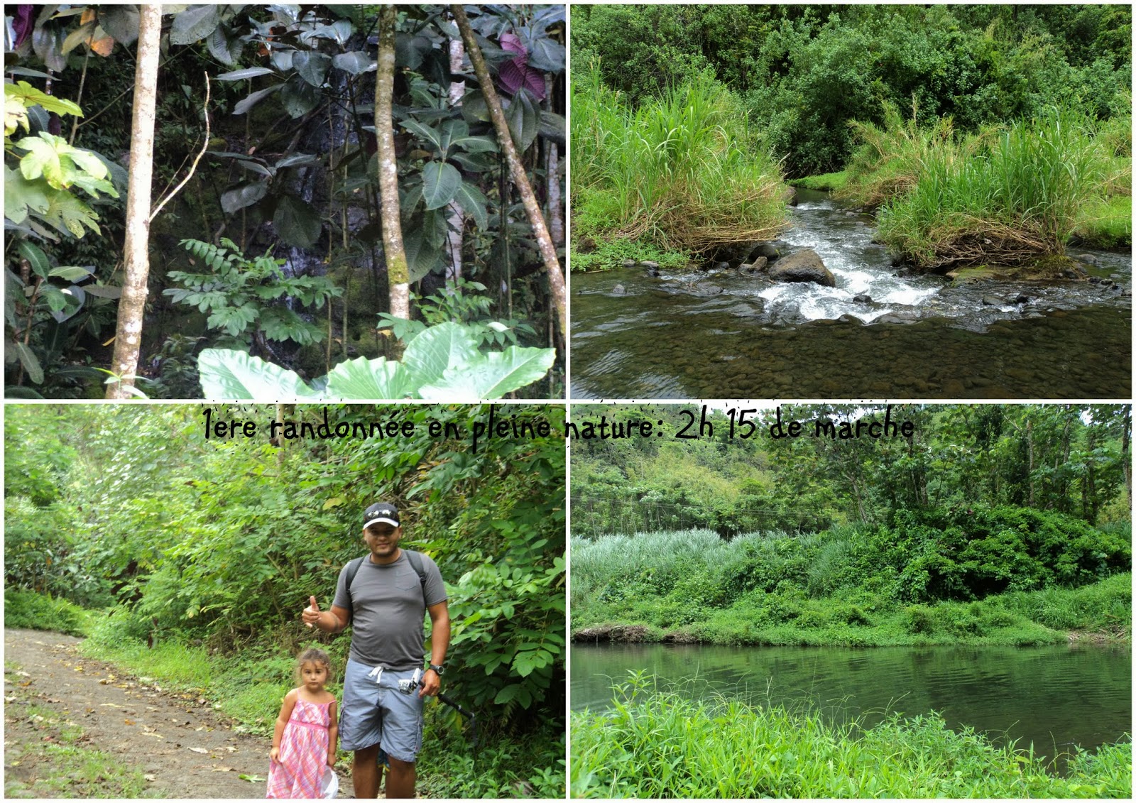 Te Fetii à Mataiea...: Vallée de Papeari