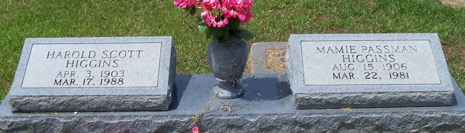 Roots From The Bayou: The Archie Scott Higgins Family