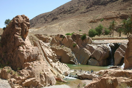 ALGERIE, Terre d'Afrique