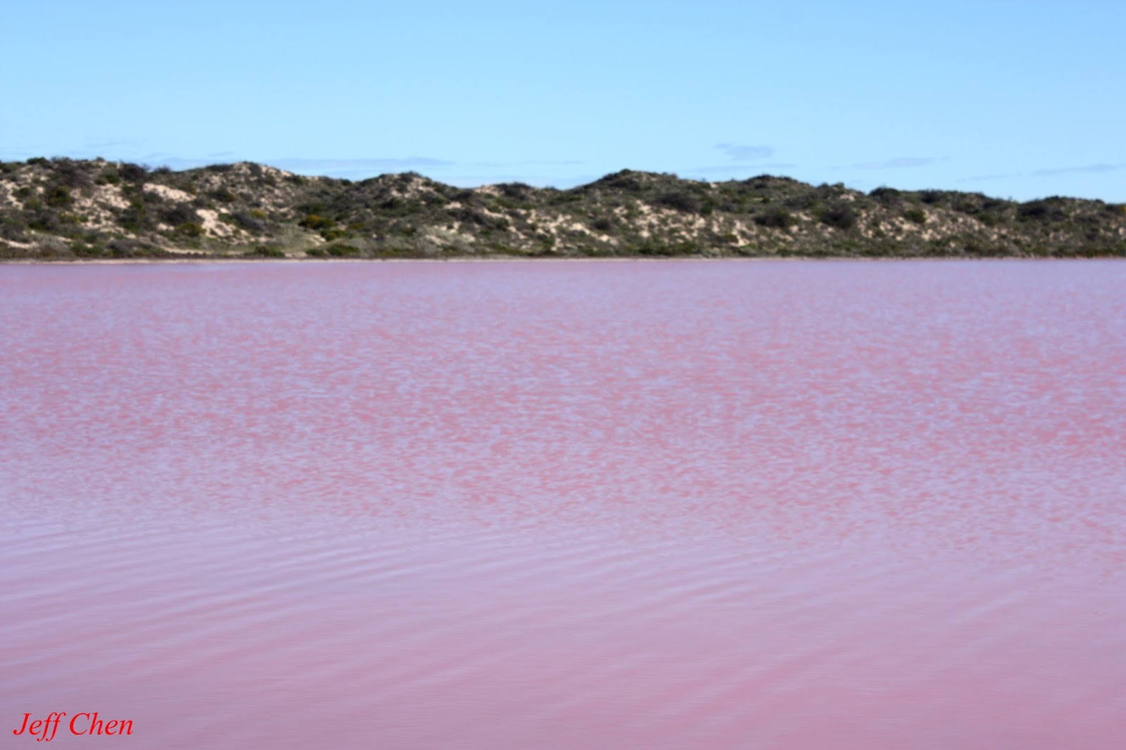 Jeff Chen旅遊登山攝影: Hutt Lagoon Pink Lake & Port Gregory, WA