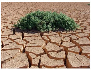 DEFINITION PEDOSPHERE AND SOIL STRUCTURE | Science Lovers