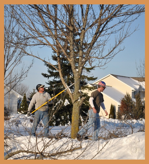 Village of Bellevue: 2015 STREET TREE PRUNING
