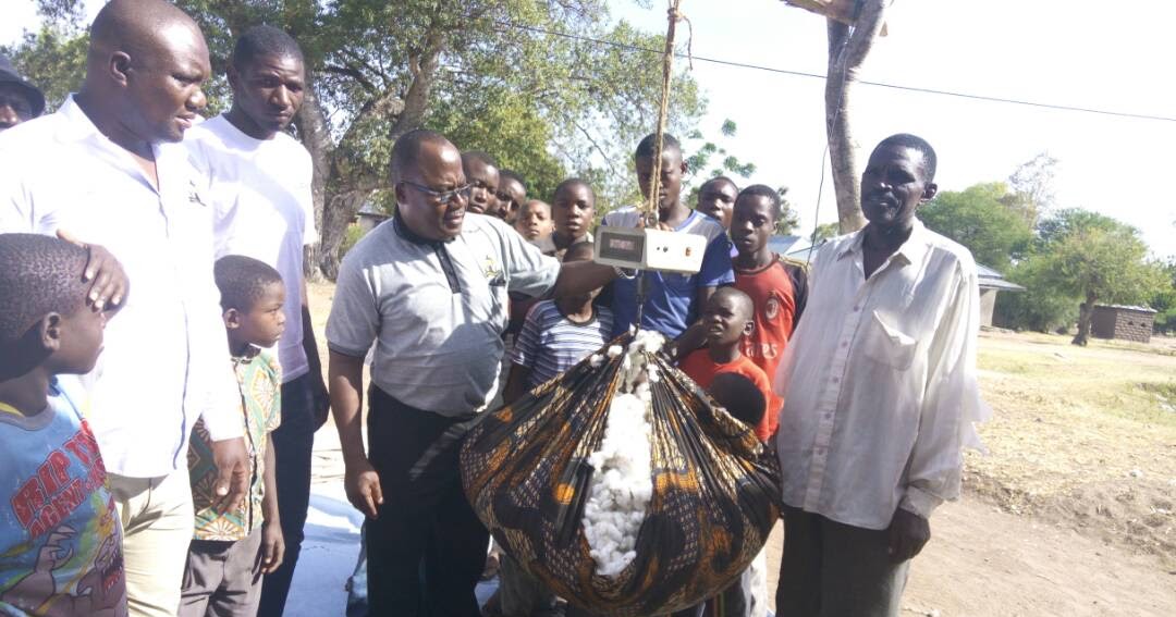 HABARI KATIKA PICHA NA MSIMU WA PAMBA ~ g sengo