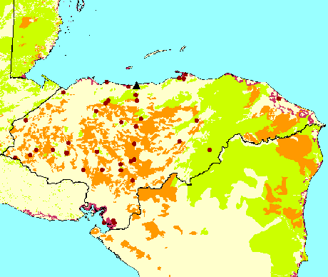 Deforestation in La Mosquitia, Honduras