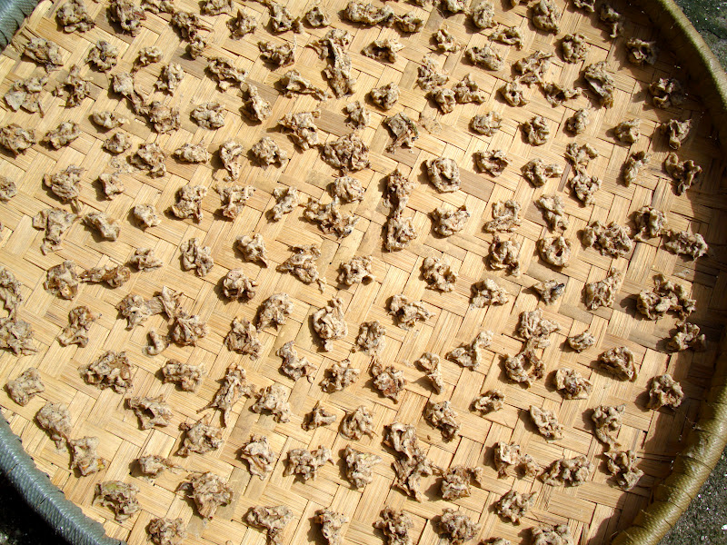 Taste of Nepal: Karkalo-Gaava-Pidhaalu - Taro (कर्कलो-गाभा-पिँडालु)