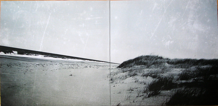 We Will Bury You: Defeater - Empty Days & Sleepless Nights