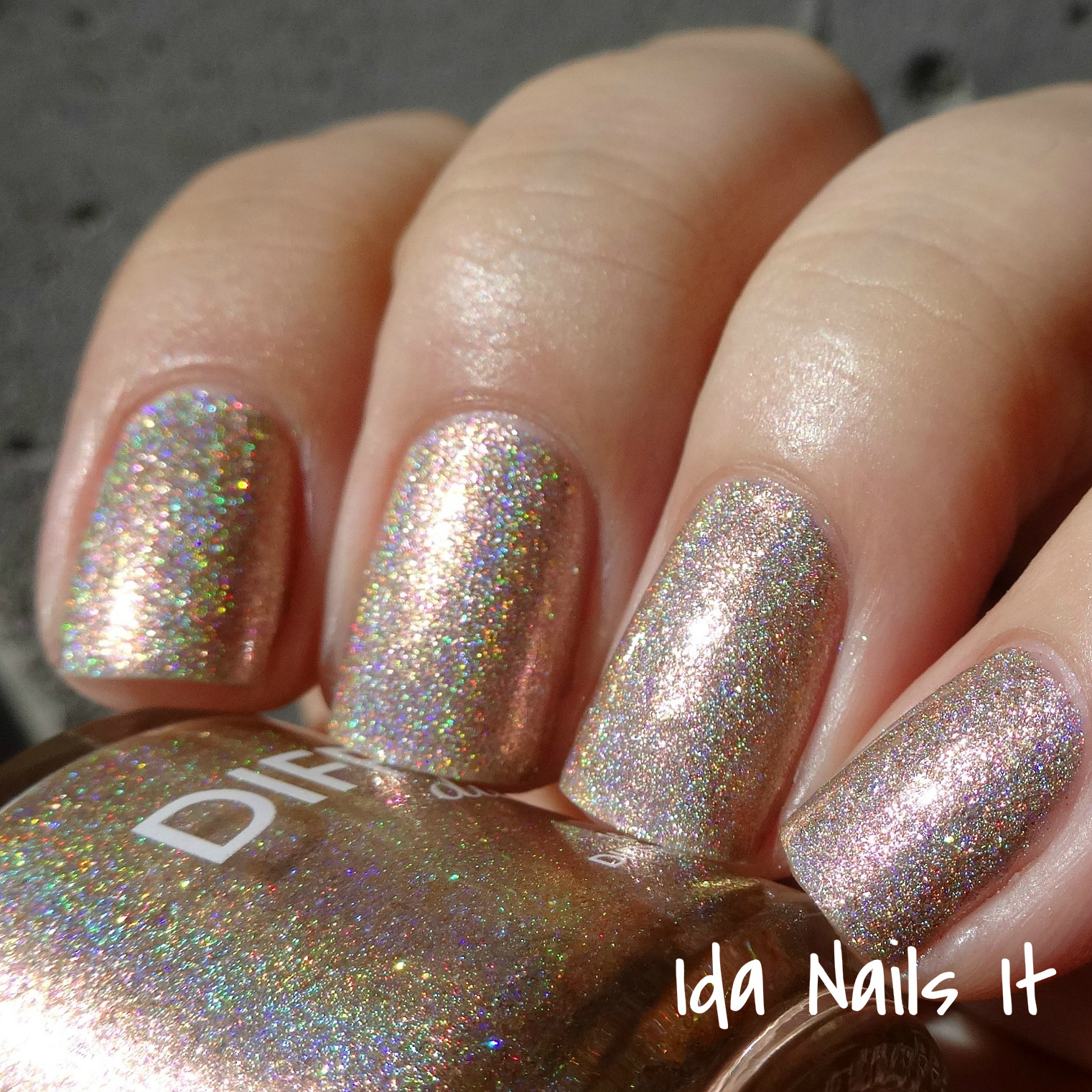 Ida Nails It: The Holo Hookup May 2016 Collaboration Box: Swatches and ...