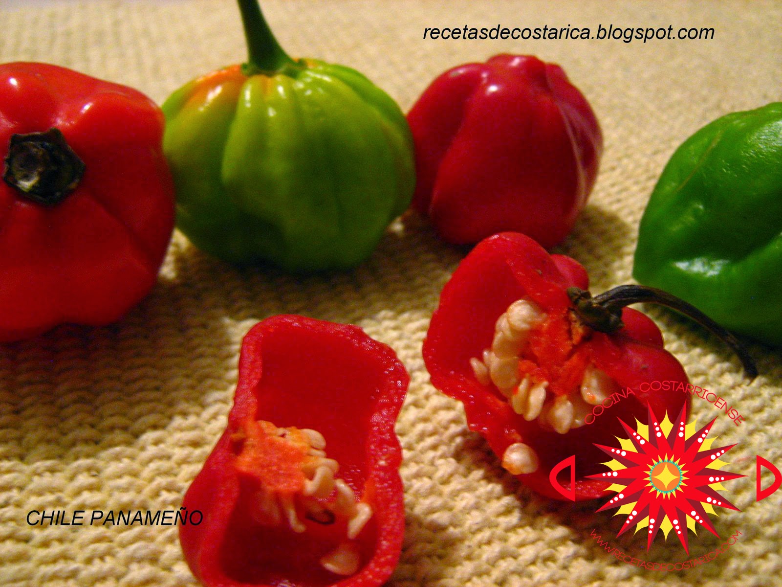 Cocina Costarricense: patí