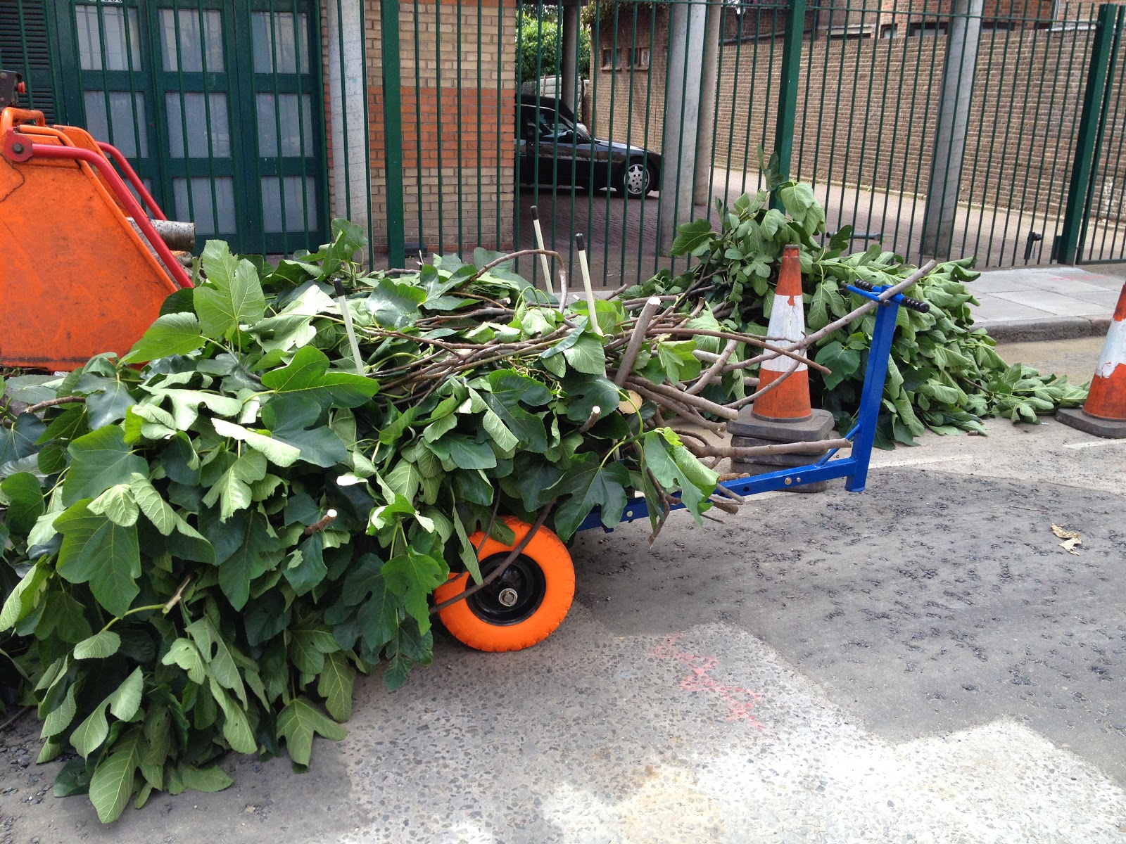 ArborTricks: Stein Arbor trolley