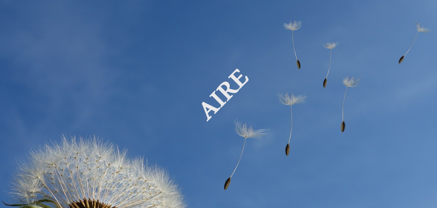 Soraya G. Cossío: ENCUENTRA EL ELEMENTO AIRE