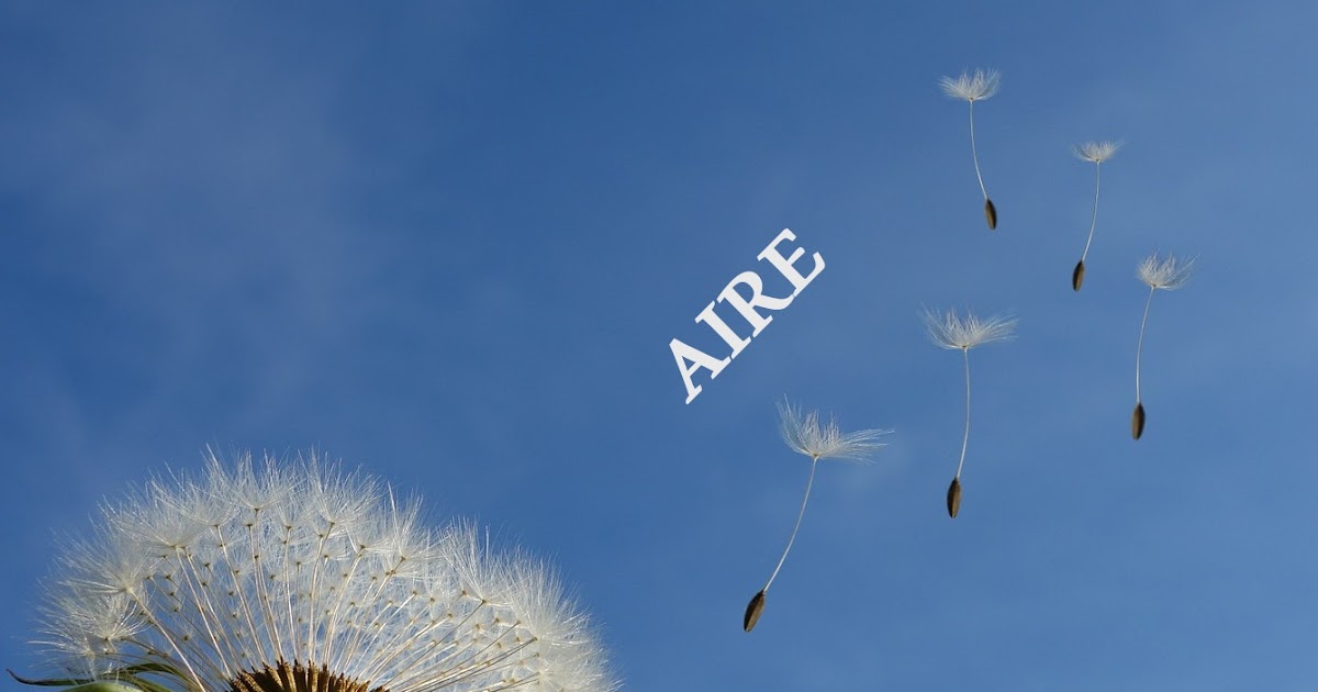 Soraya G. Cossío: ENCUENTRA EL ELEMENTO AIRE