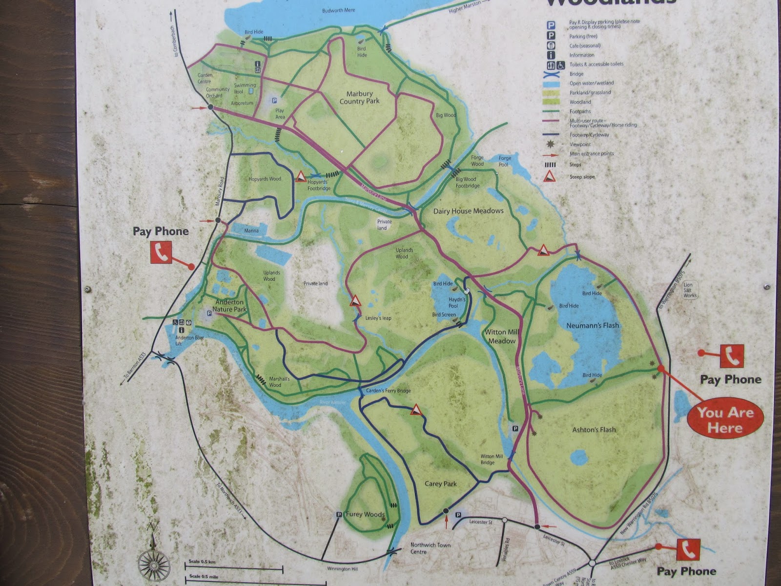 DAN Community Ltd.: March 2014