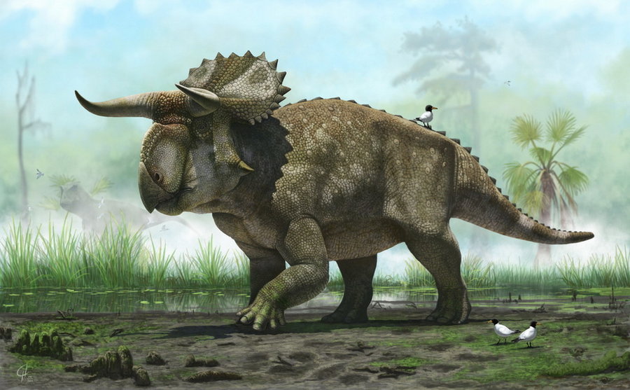 Species New to Science: [Paleontology • 2013] Nasutoceratops titusi • A ...