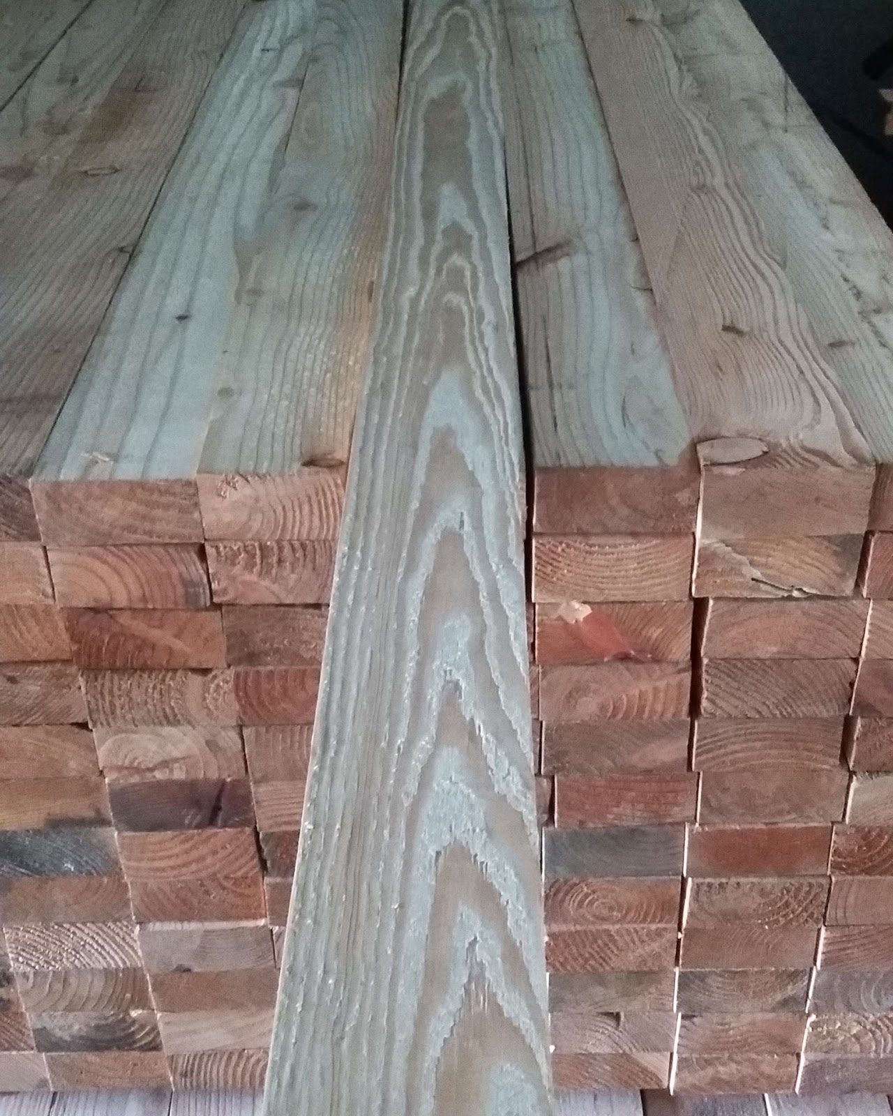 34 Serat Kayu Jati Belanda, Paling Trend!