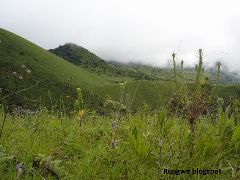 Explore Rungwe District: Tourism