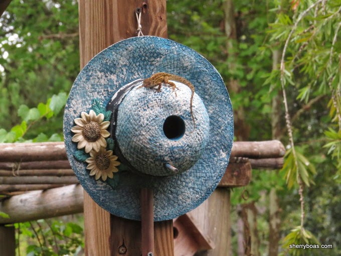 Simply Living: Look who moved in...