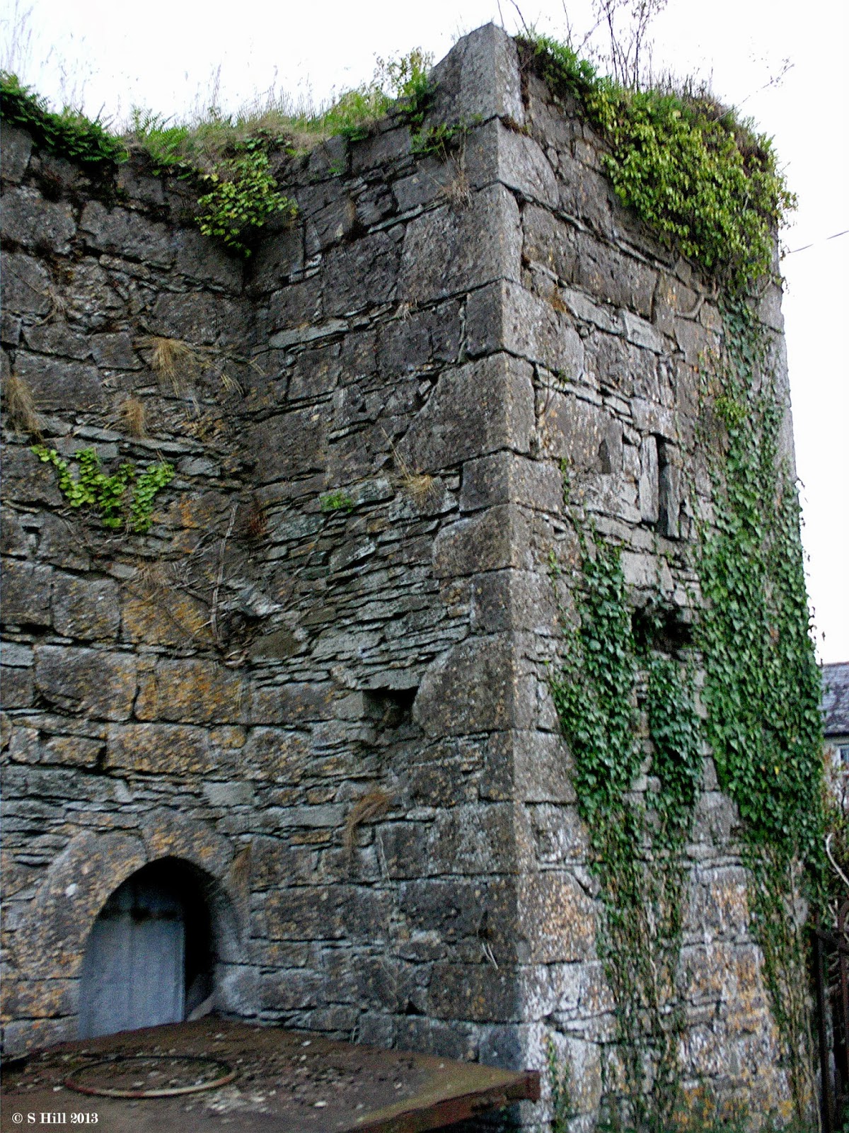 Ireland In Ruins: Newcastle Lyons Castle Co Dublin