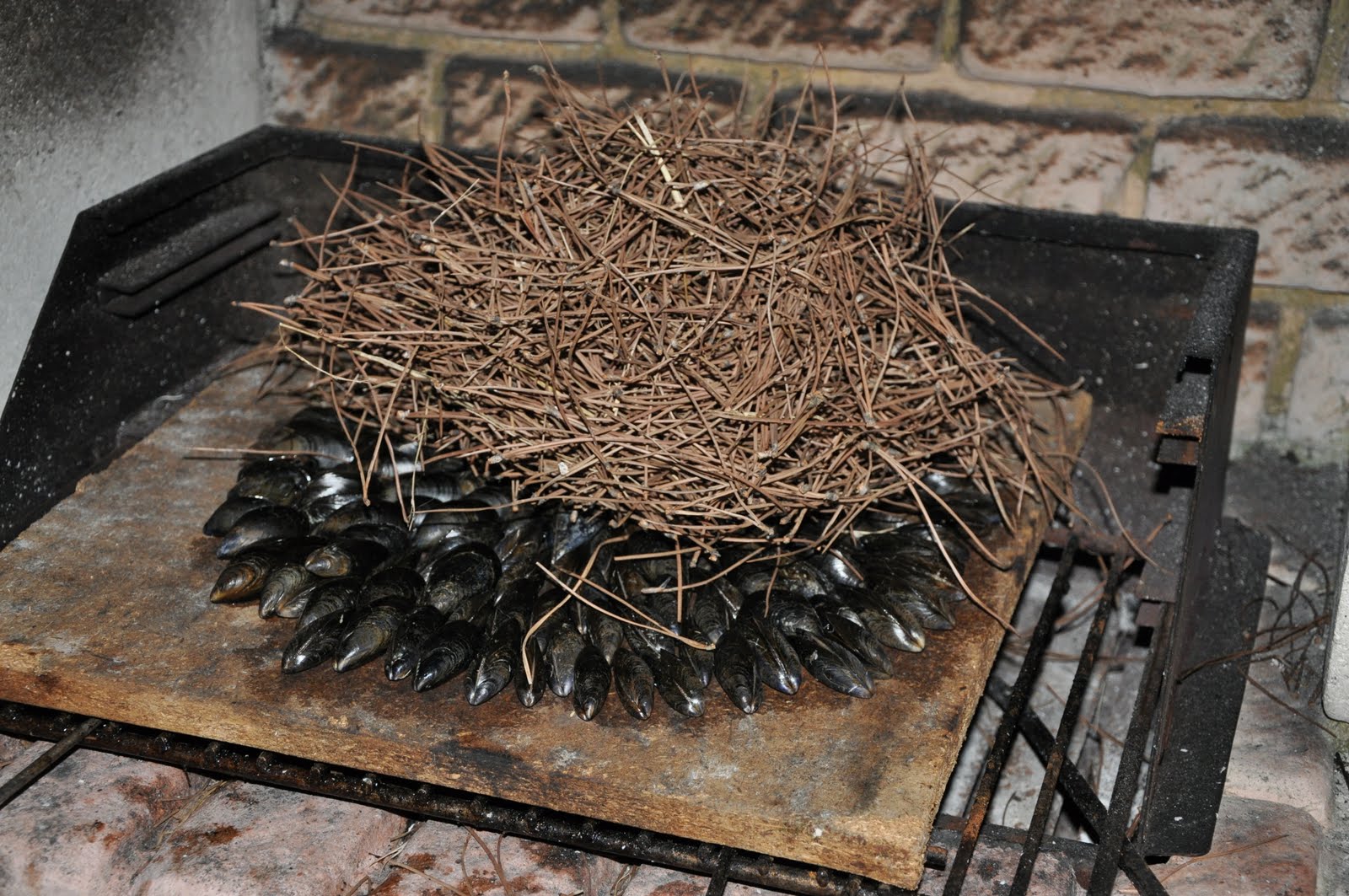 Cuisine, médecine, et toute cette sorte de choses: Eglade de moules