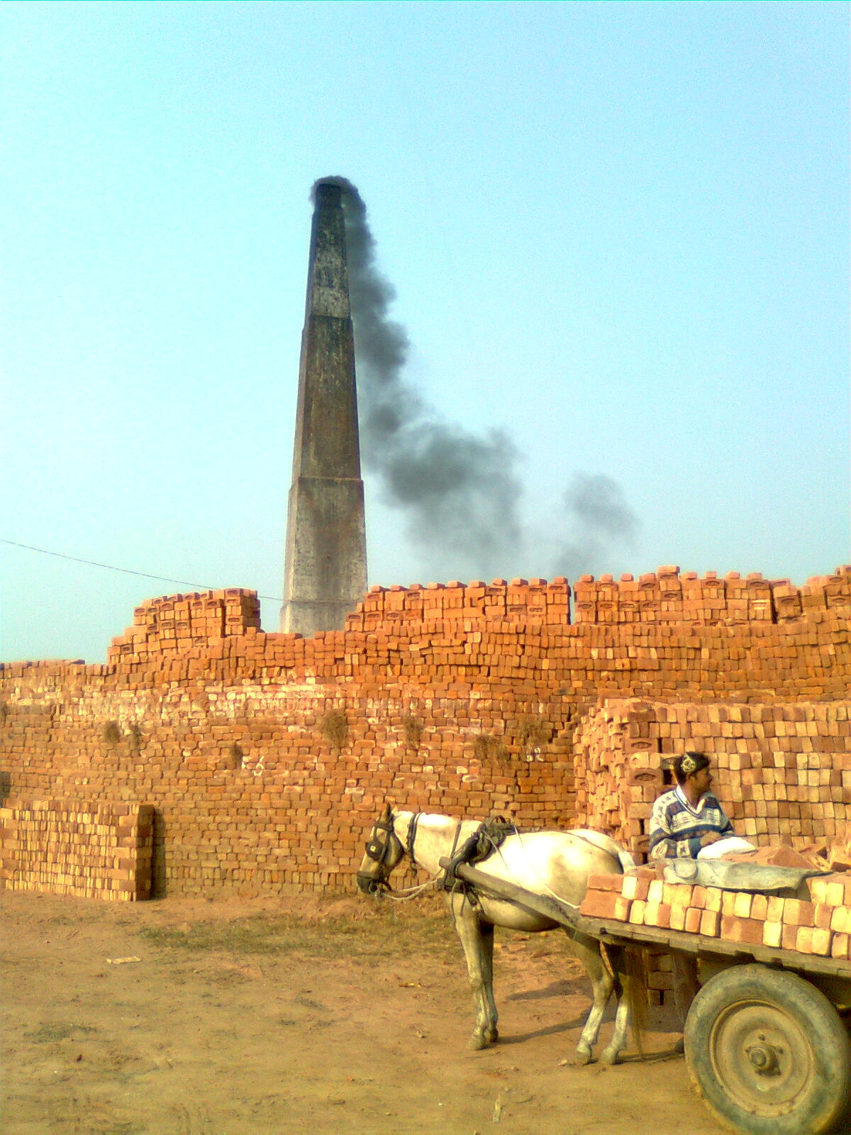 jalkheri: bhatha in jalkheri village