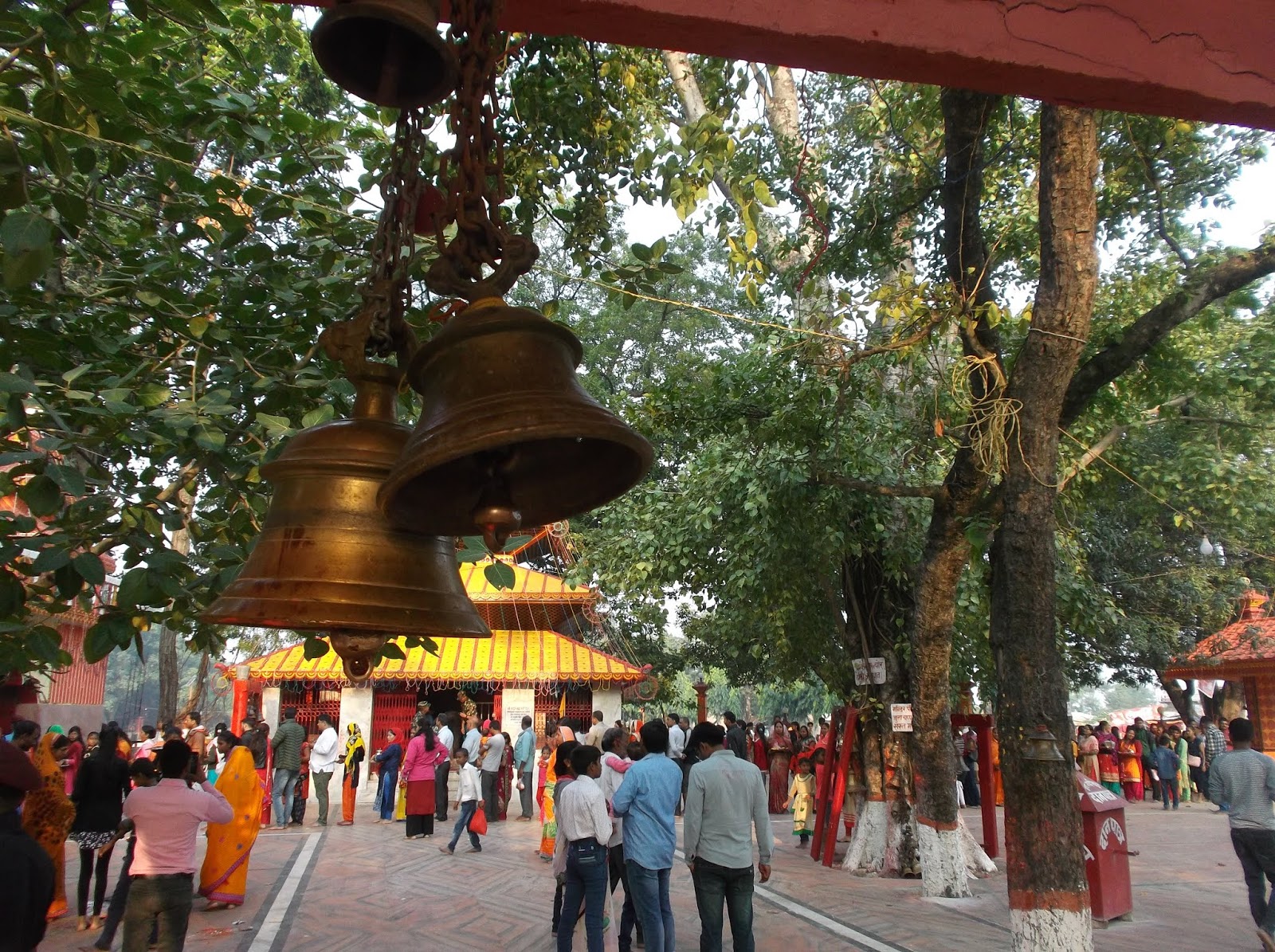 Why To Visit Gadhimai Temple ? part-1 - Gadhimainepal.blogspot.com ...