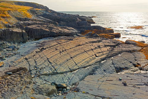 Mistaken Point Canada a UNESCO World Heritage Sites - Backpacker Lifestyles