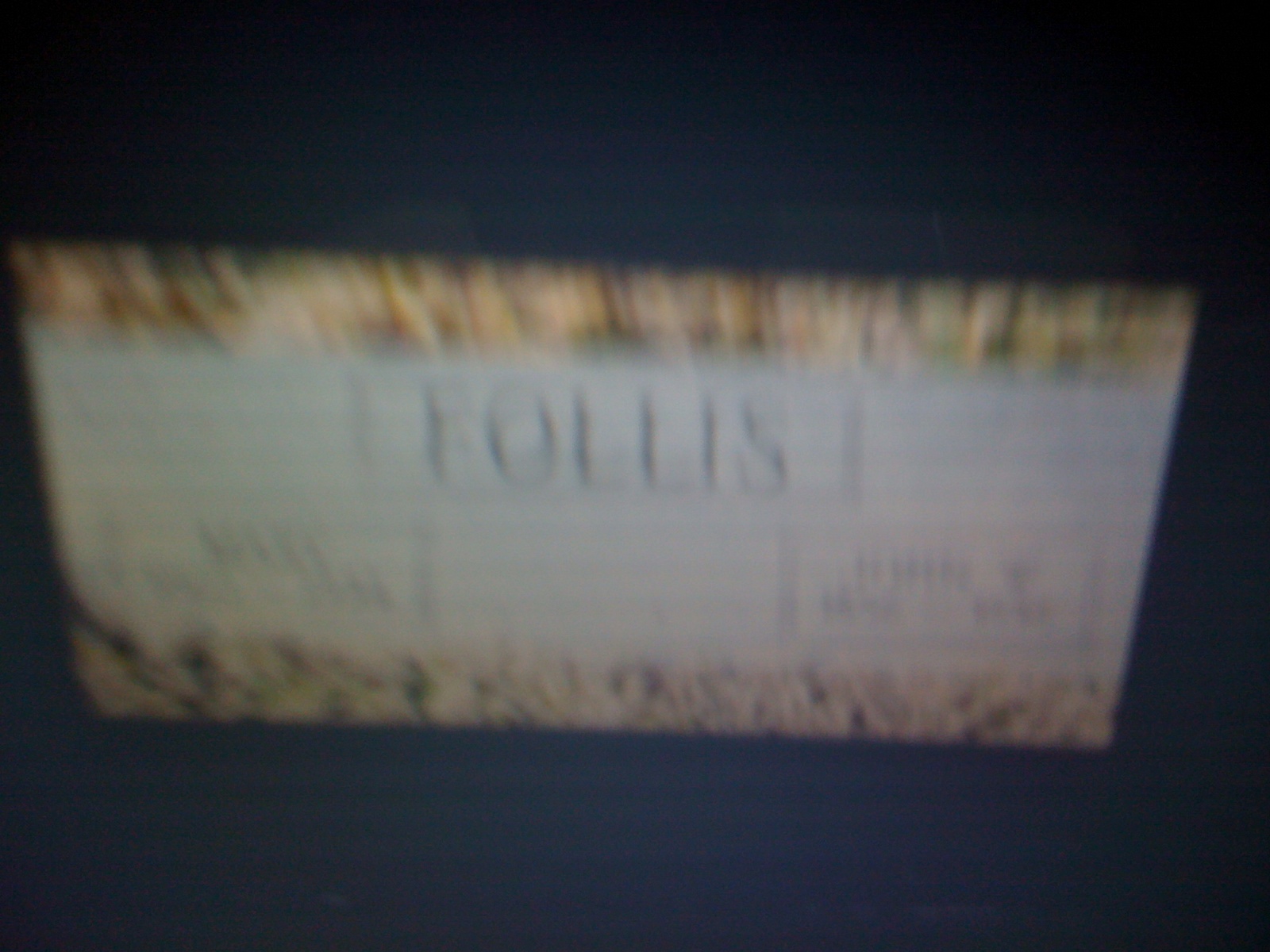 THE BLACK SOCIAL HISTORY:: BLACK SOCIAL HISTORY : THE FIRST AFRICAN ...