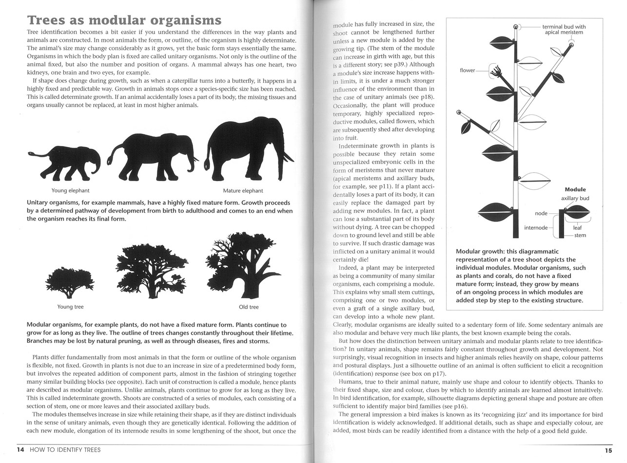 UNLEARNING: Unitary and modular organisms, the body as a shape