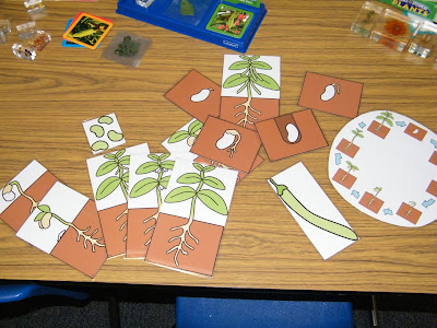 Adventures With Firsties: Plants Unit in Action!