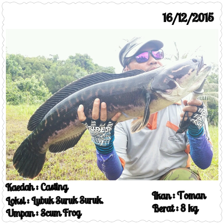 Selunsong Team Anglerz: TOMAN MONSTER @ LUBUK SURUK-SURUK