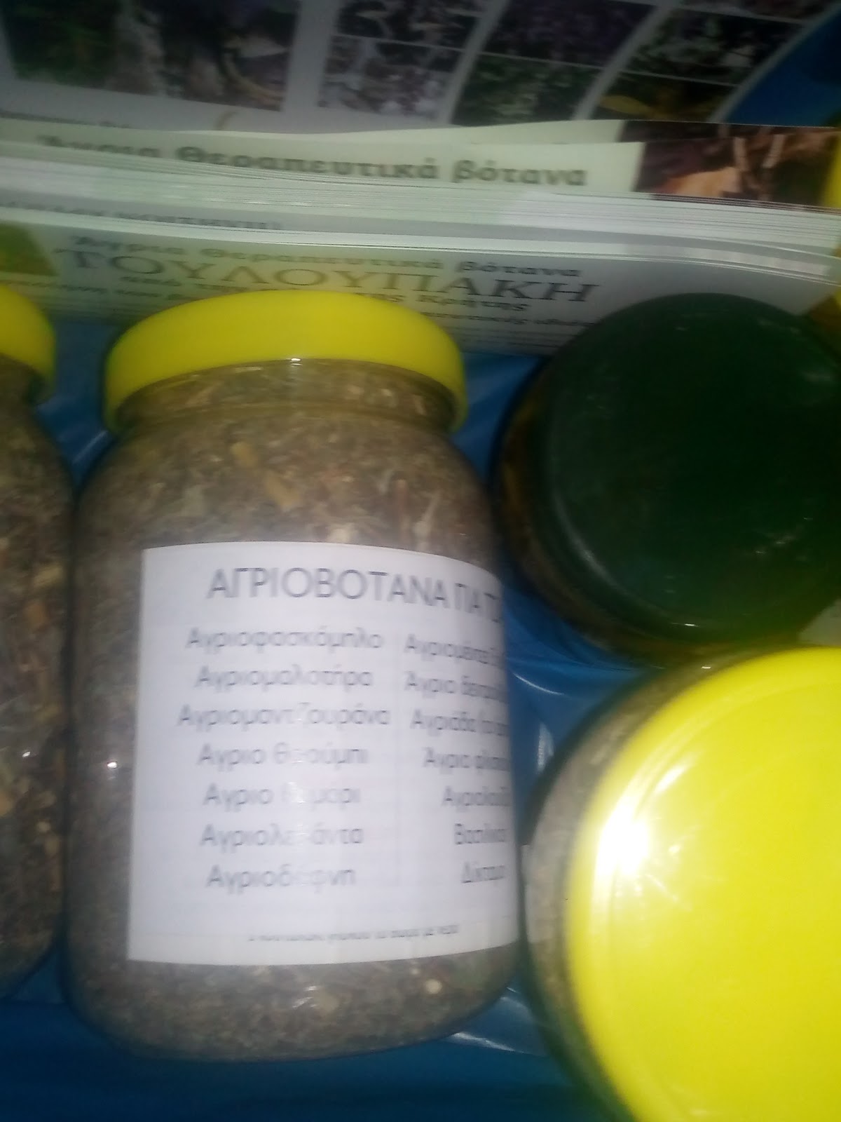 ΑΓΡΙΑ ΘΕΡΑΠΕΥΤΙΚΑ ΒΟΤΑΝΑ : ΔΙΑΦΟΡΑ ΘΕΡΑΠΕΥΤΙΚΑ ΒΟΤΑΝΑ 2