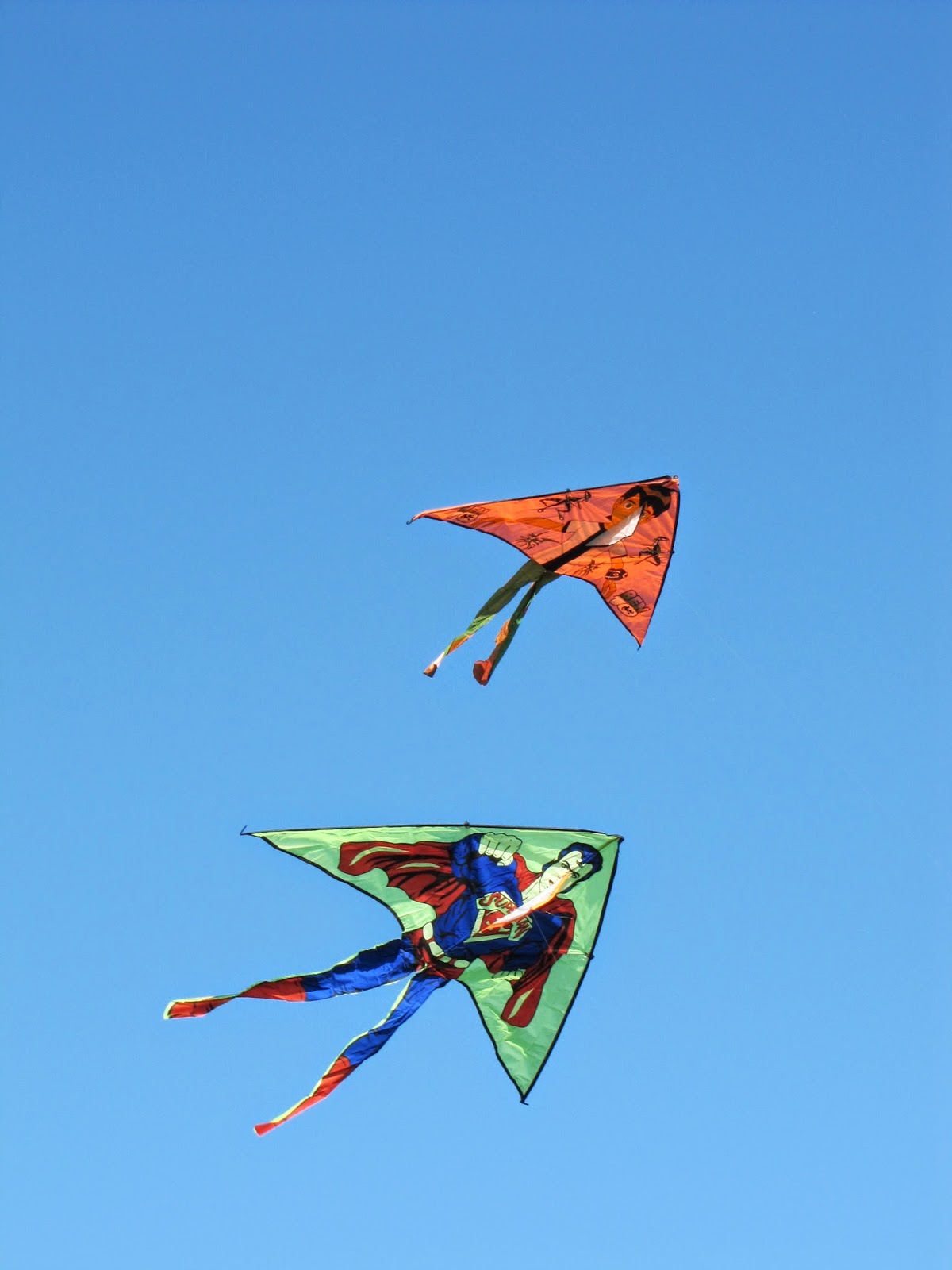 The Taranaki Sketchers: Sketching Kites.