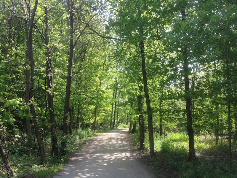 A Wandering Naturalist: Ontario: Spring in Mississauga