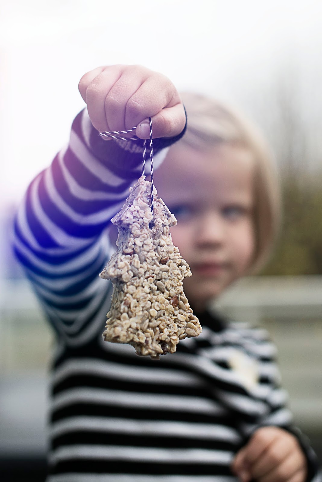 Homemade Bird Food Fairytale Christmas homemade-bird-food-fairytale-christmas