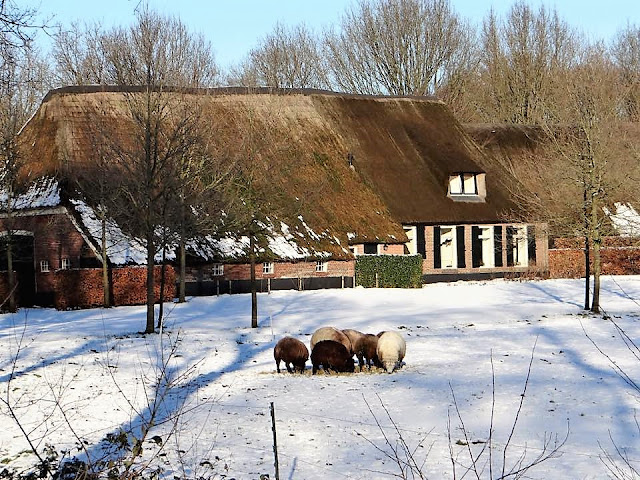 Dorpen en Steden van Nederland: Grolloo (Drenthe)