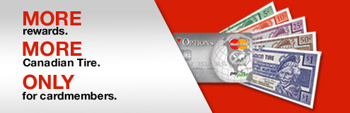 Canadian Tire: Canadian Tire Financial serivices Limited