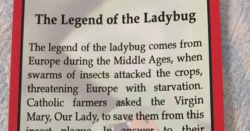 Tri Cities On A Dime: THE LEGEND OF THE LADYBUG