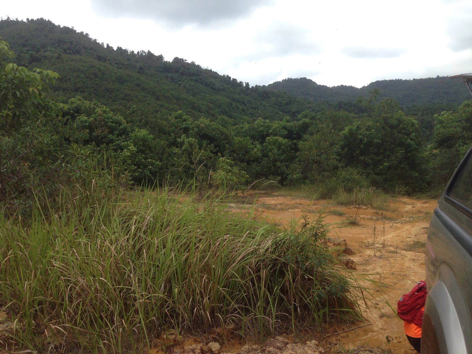 螂迹天涯: 一粒米蟲山 BUKIT BATU BESAR