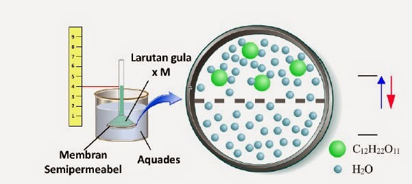 Chem-is-try: Tekanan Osmosis