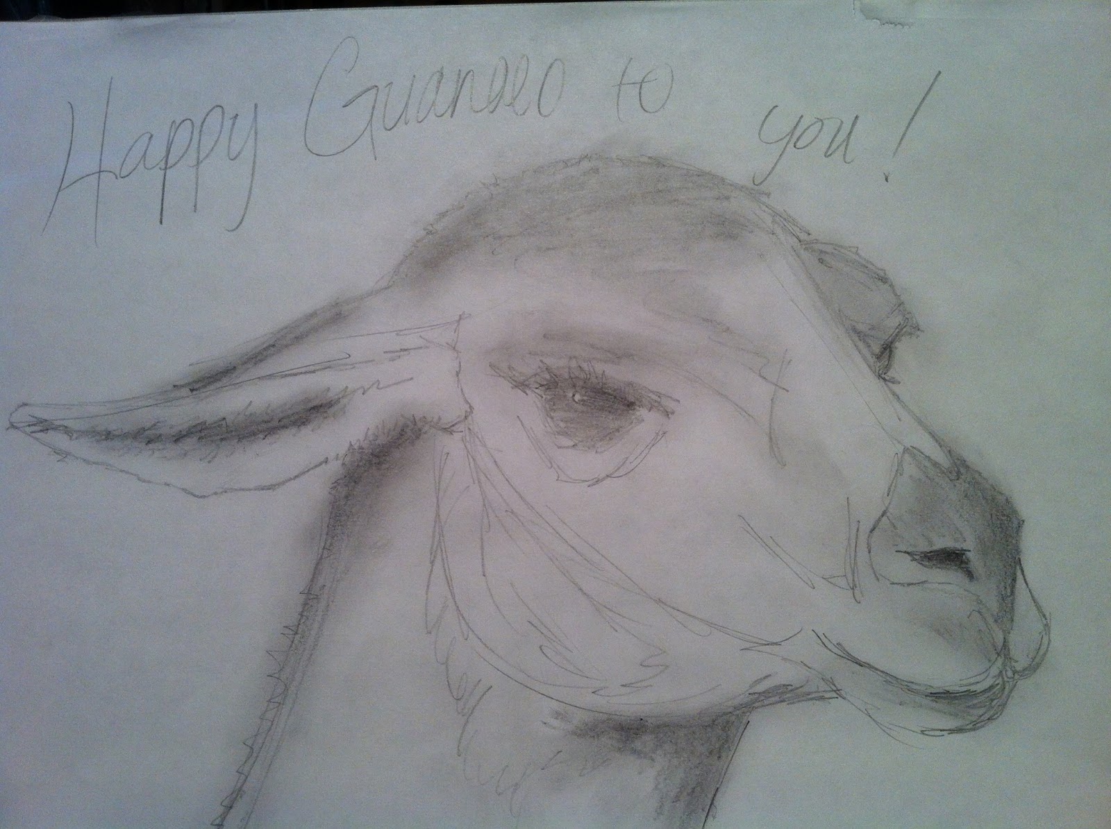 Sleepless in Santiago: Sketch: Guanaco!