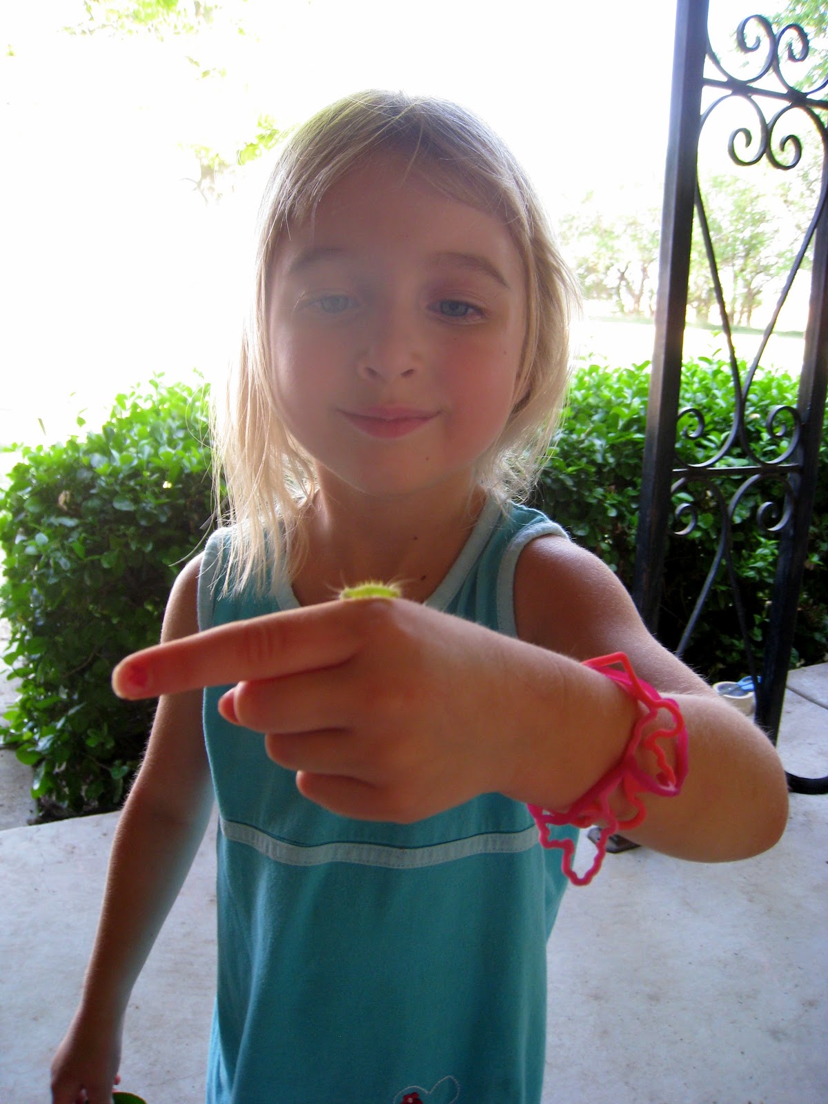 Growing Your Homeschool Easy Preschool Science Activities growing-your-homeschool-easy-preschool-science-activities