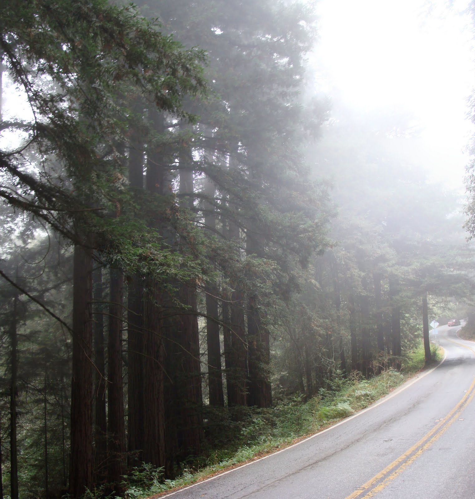 Ziasus' Ride Reports: Hecker Pass to Corralitos