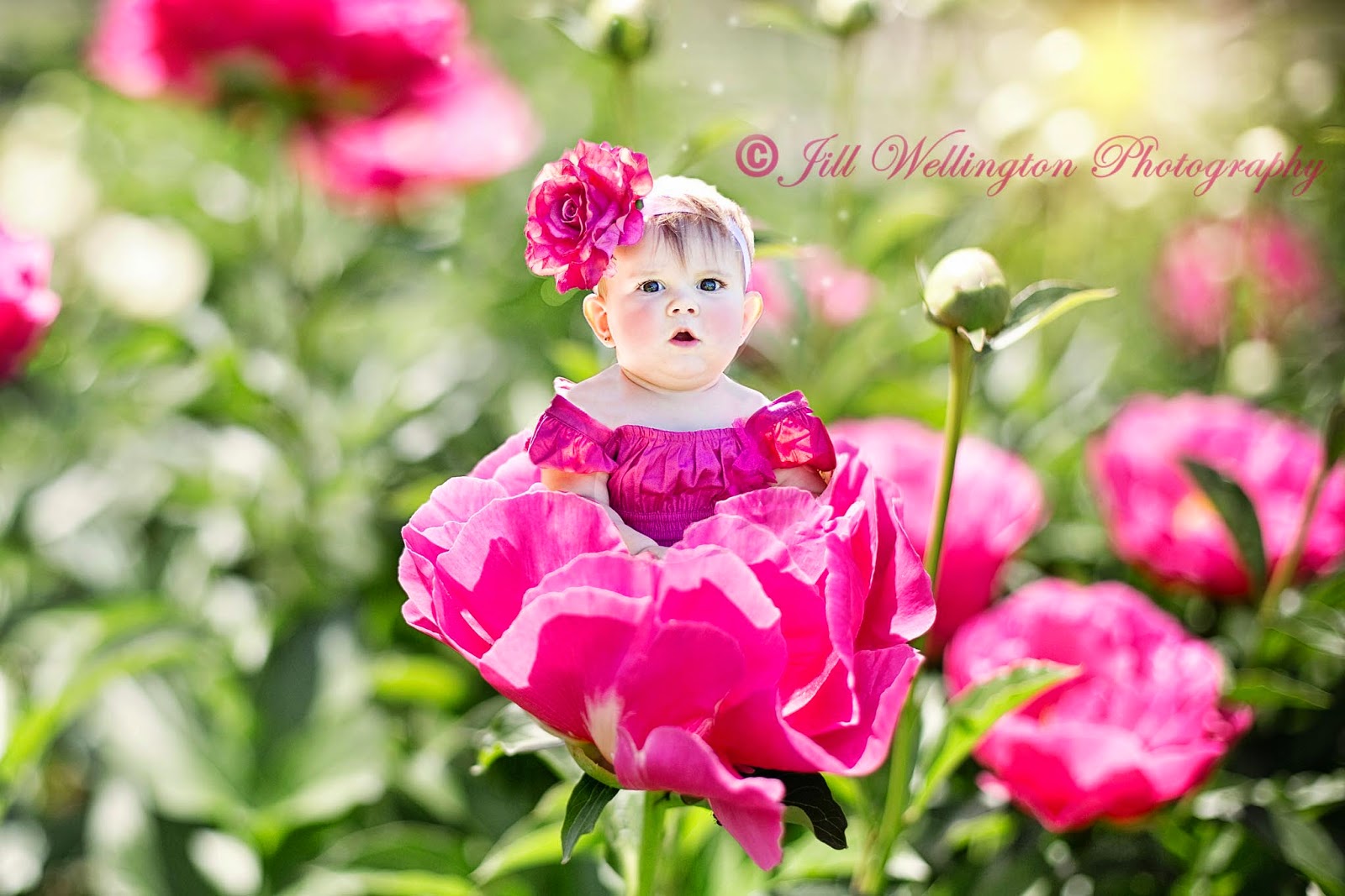 Images Of Cute Babies With Flowers