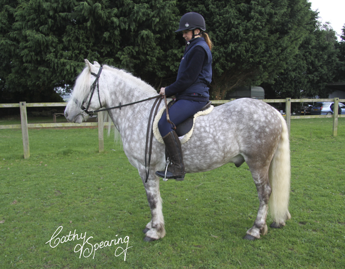 Cathy Spearing - Equestrian and animal artist.: Me riding Highland pony ...