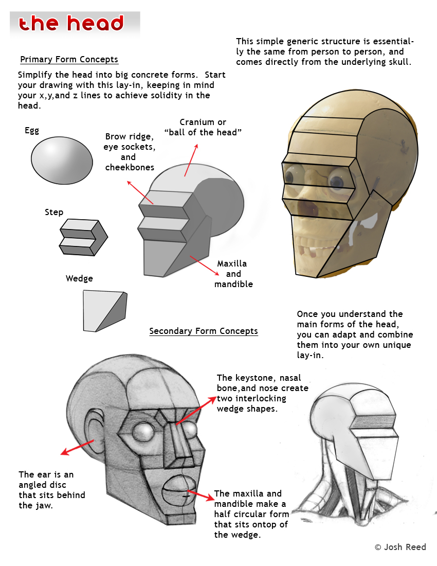Drawsh: The Head pt. 1